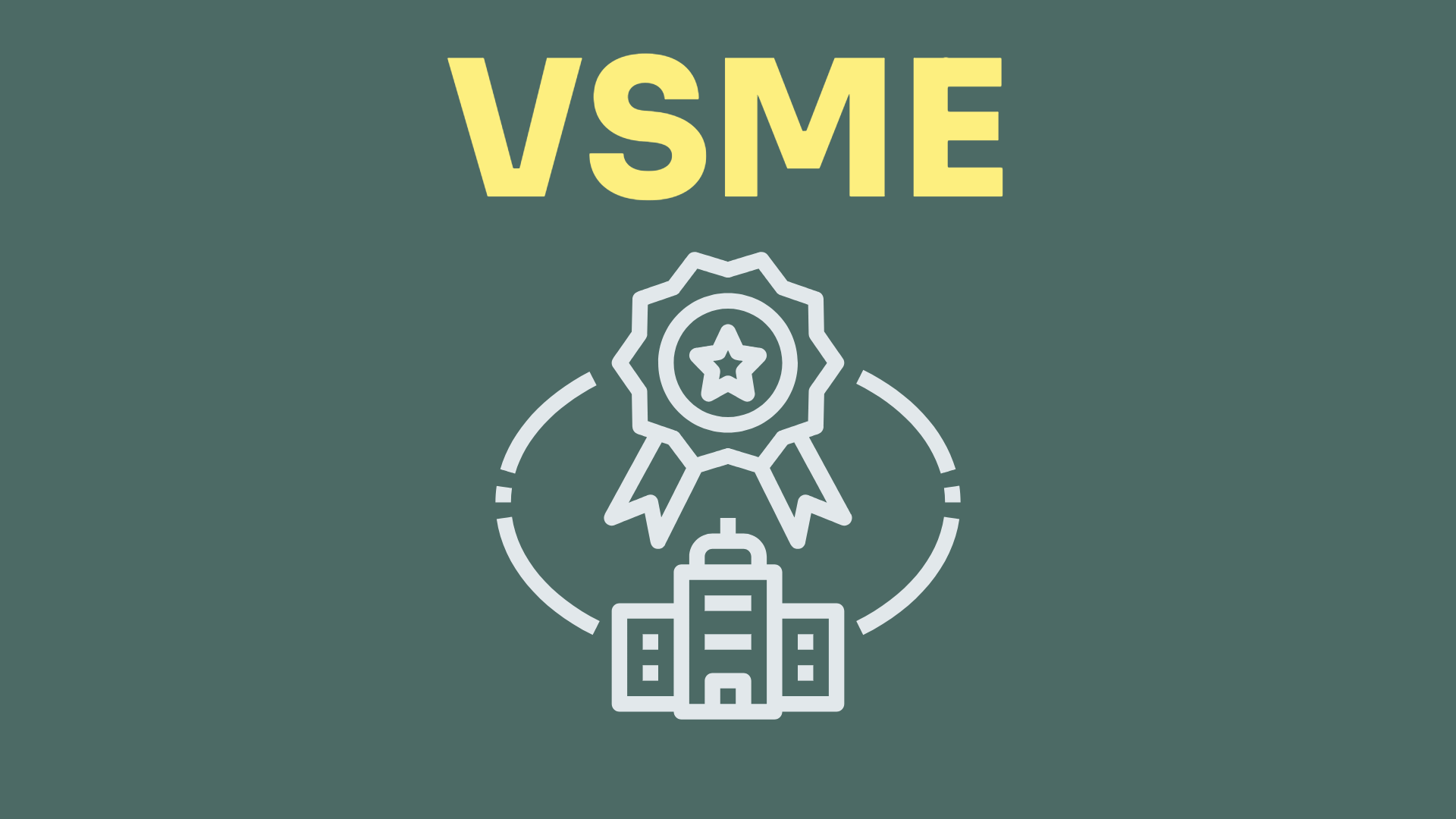 414 | Introduction to the VSME